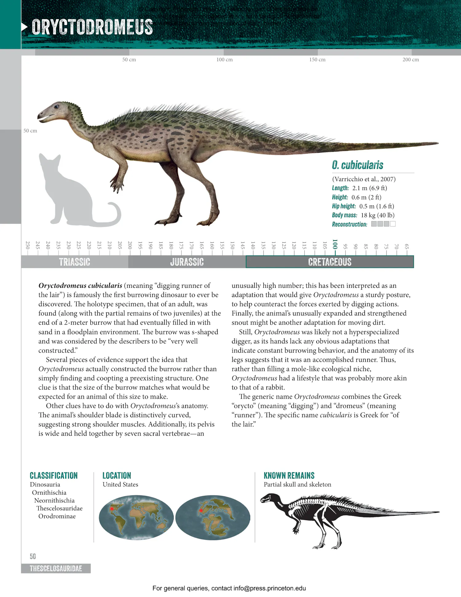 The Princeton Encyclopedia of Dinosaurs: Ornithischians | Princeton ...
