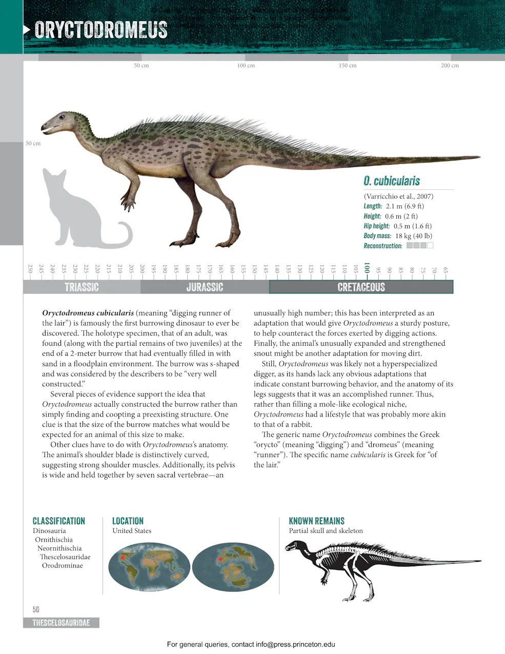 The Princeton Encyclopedia of Dinosaurs: Ornithischians | Princeton ...