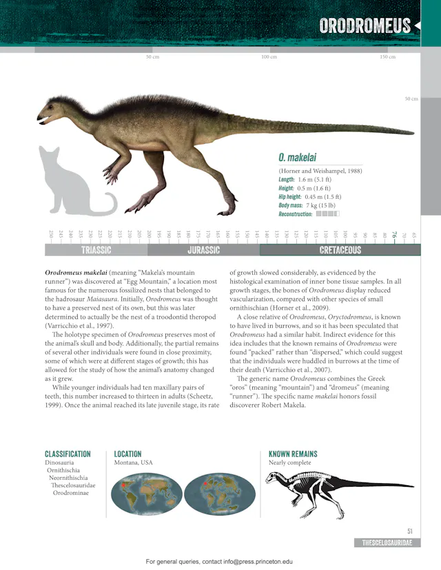 The Princeton Encyclopedia of Dinosaurs: Ornithischians | Princeton ...