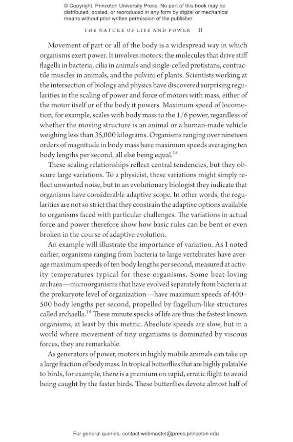 The Evolution of Power | Princeton University Press