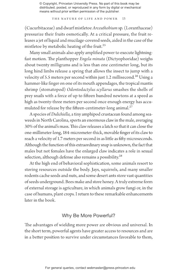 The Evolution of Power | Princeton University Press