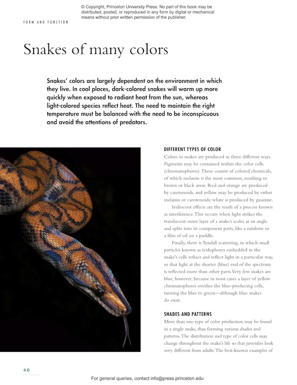 The Lives of Snakes | Princeton University Press