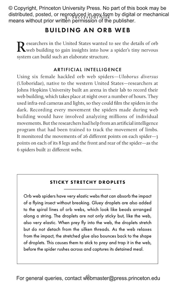 The Little Book of Spiders | Princeton University Press