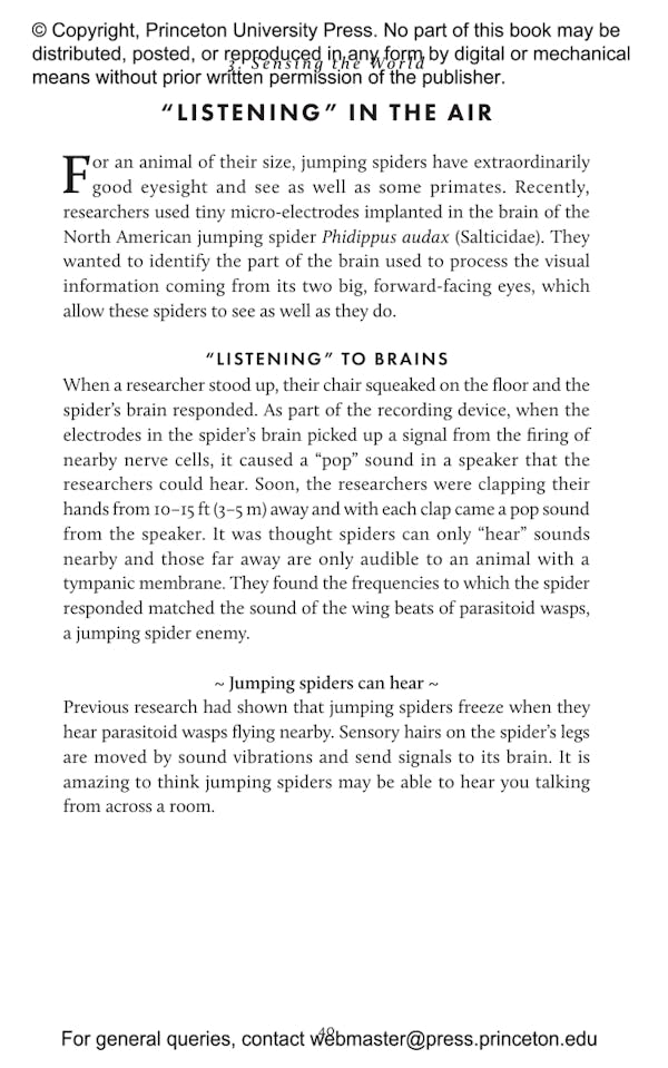 The Little Book of Spiders | Princeton University Press