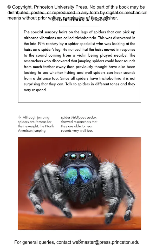 The Little Book of Spiders | Princeton University Press