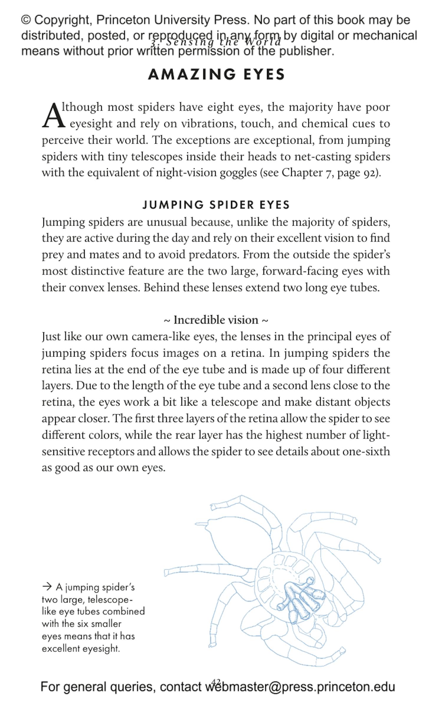 The Little Book of Spiders | Princeton University Press
