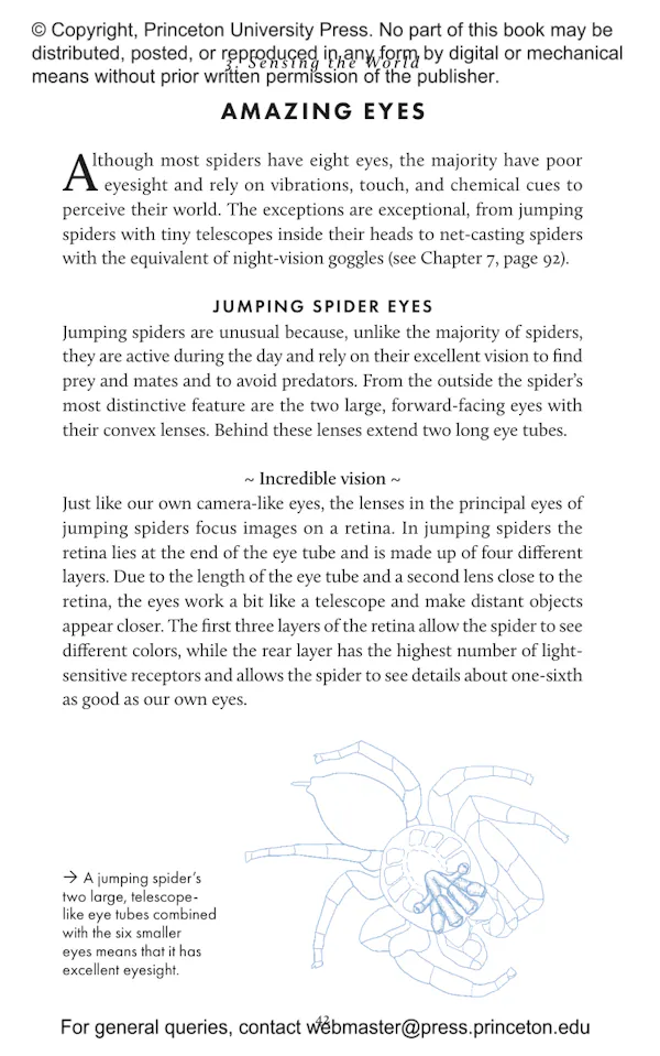 The Little Book of Spiders | Princeton University Press