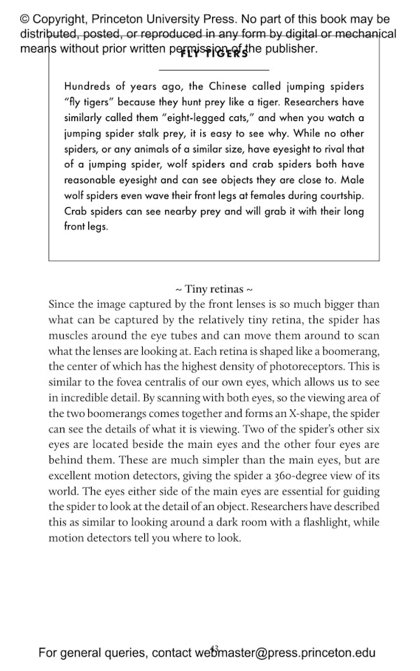 The Little Book of Spiders | Princeton University Press