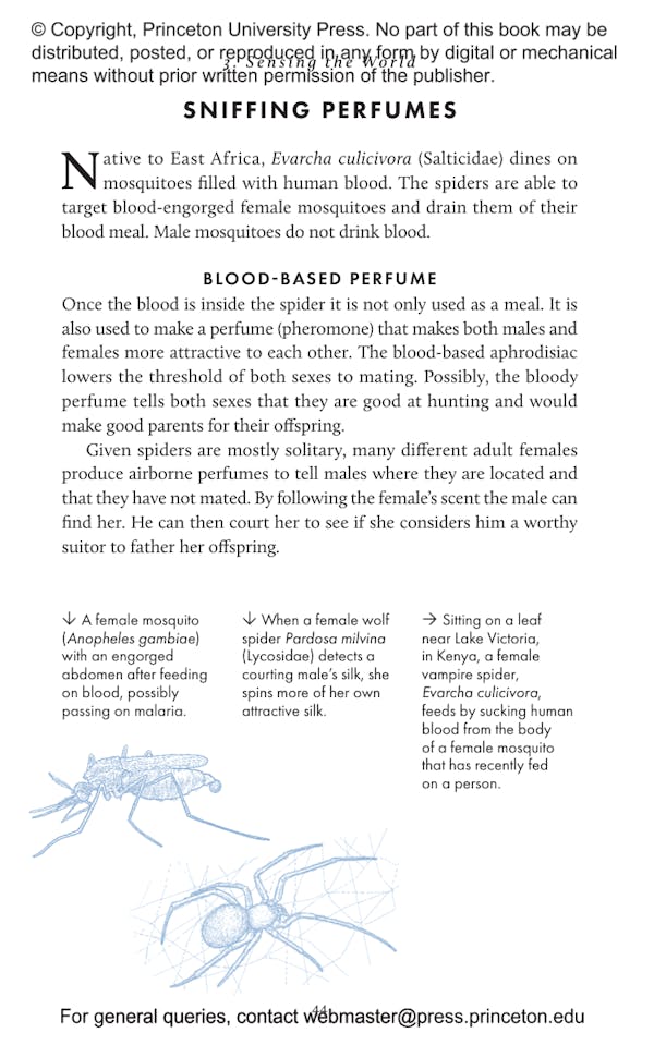 The Little Book of Spiders | Princeton University Press