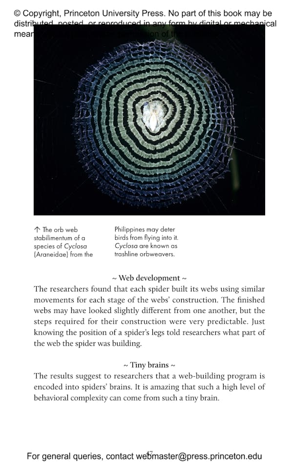 The Little Book of Spiders | Princeton University Press
