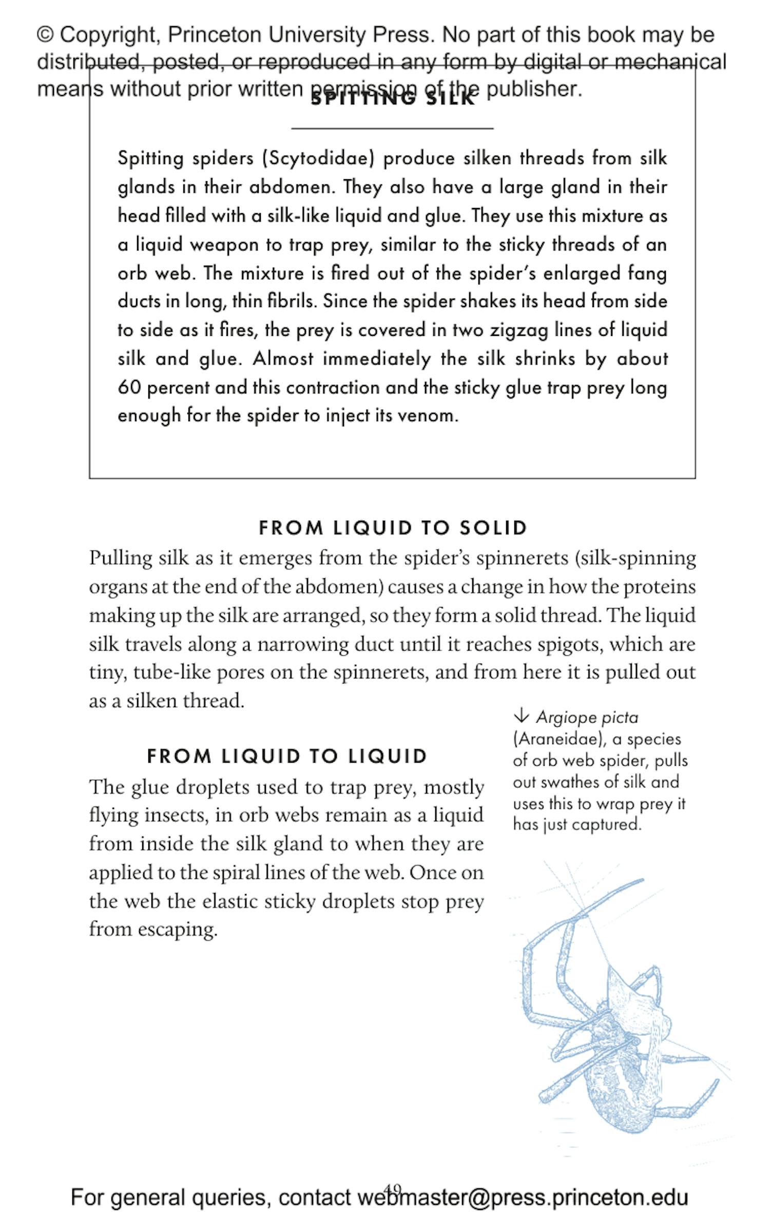 The Little Book of Spiders | Princeton University Press