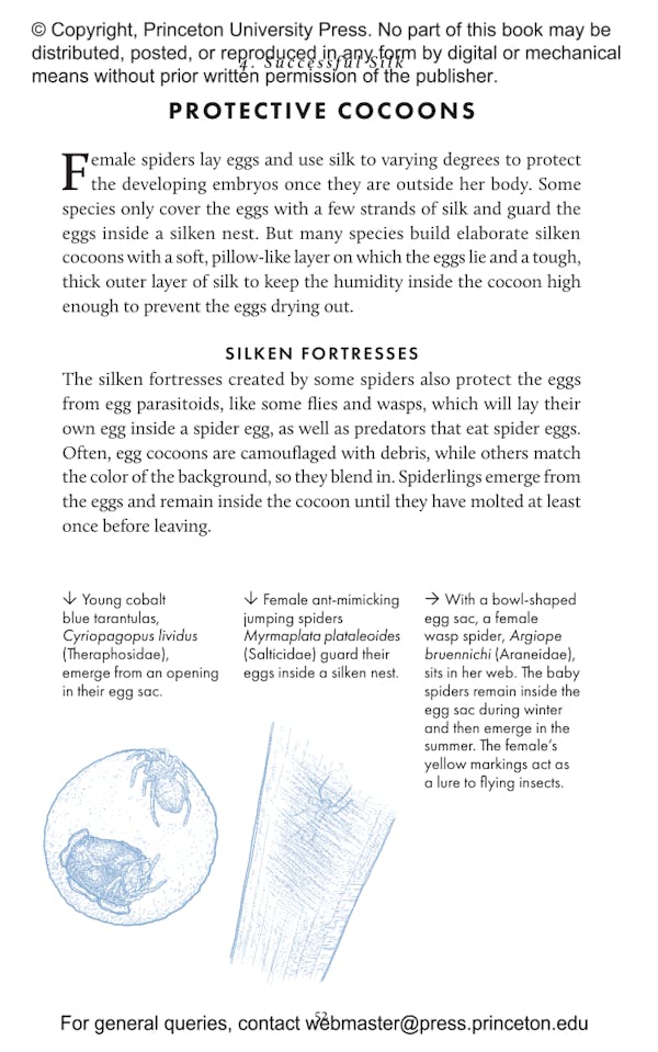 The Little Book of Spiders | Princeton University Press