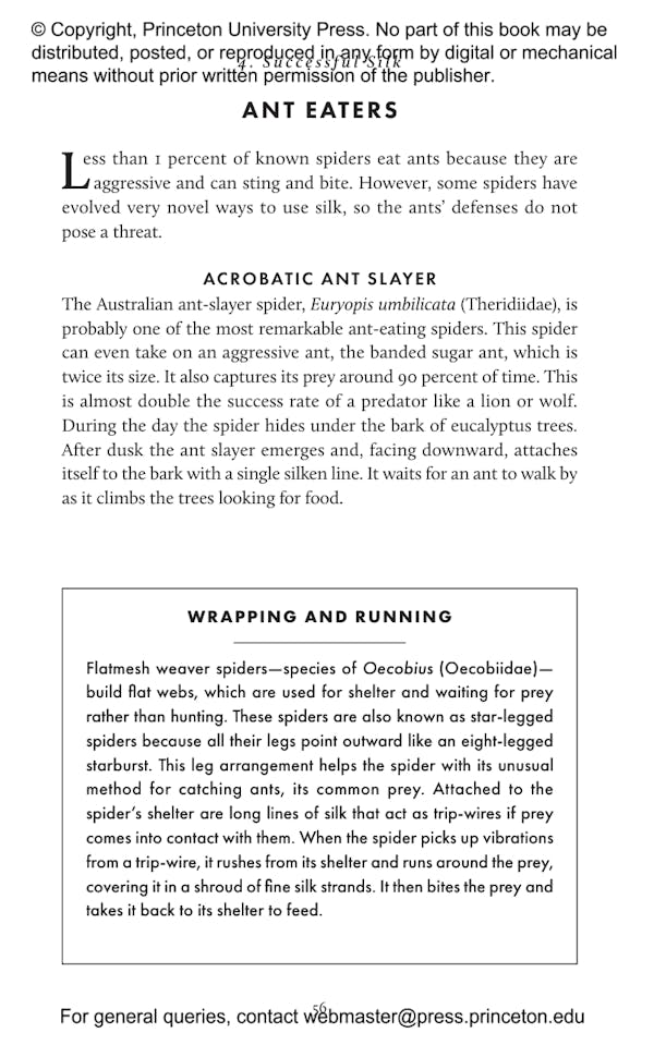 The Little Book of Spiders | Princeton University Press