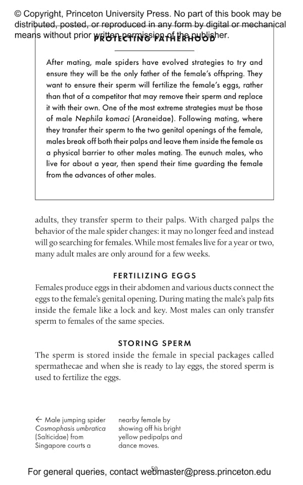 The Little Book of Spiders | Princeton University Press