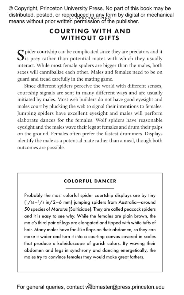 The Little Book of Spiders | Princeton University Press