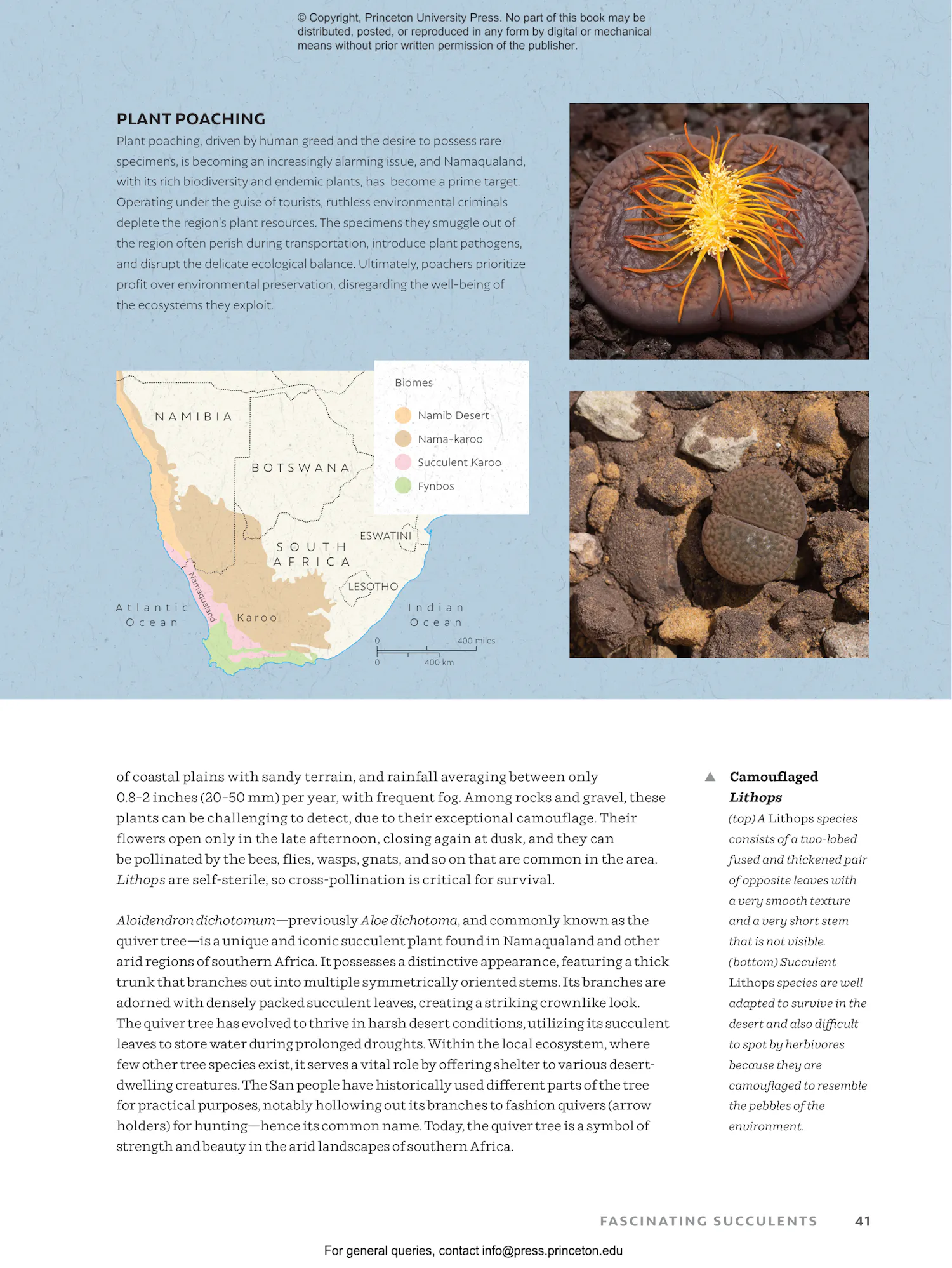 The World Atlas of Deserts and Drylands | Princeton University Press