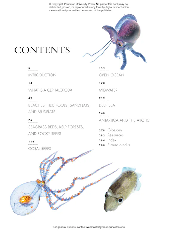 The Lives of Octopuses and Their Relatives | Princeton University Press