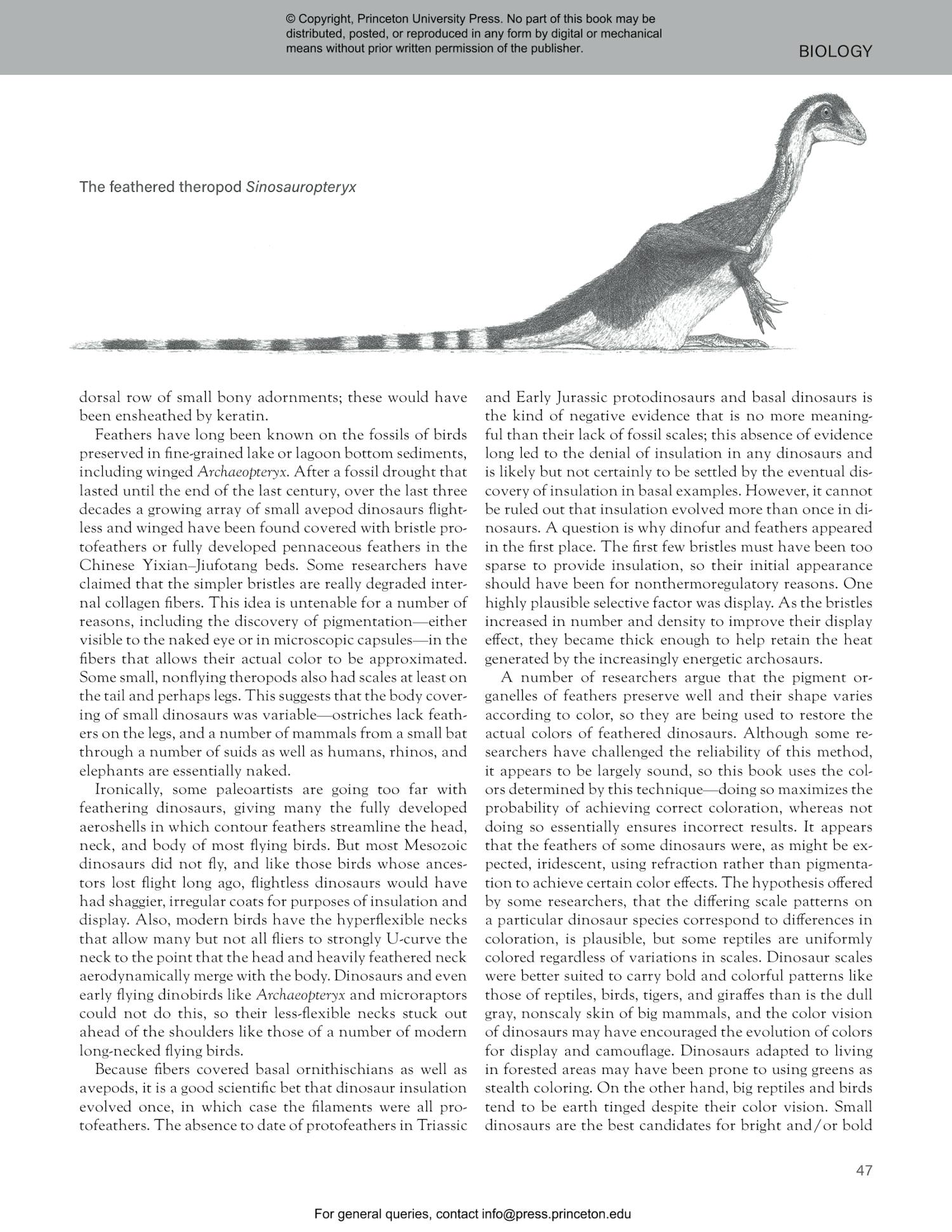 The Princeton Field Guide to Predatory Dinosaurs | Princeton University ...