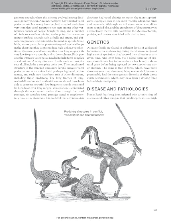 The Princeton Field Guide to Predatory Dinosaurs | Princeton University ...