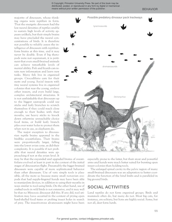 The Princeton Field Guide to Predatory Dinosaurs | Princeton University ...