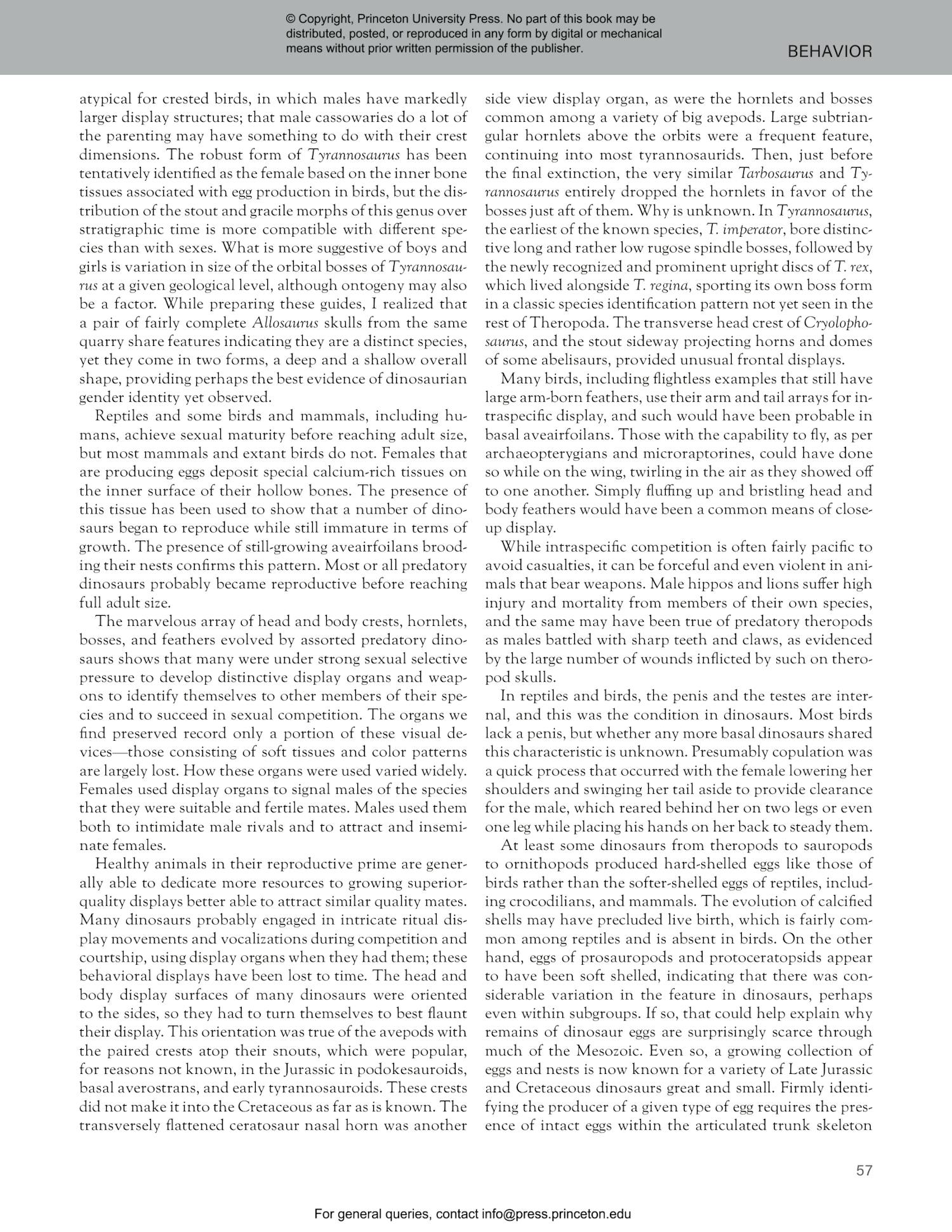 The Princeton Field Guide to Predatory Dinosaurs | Princeton University ...