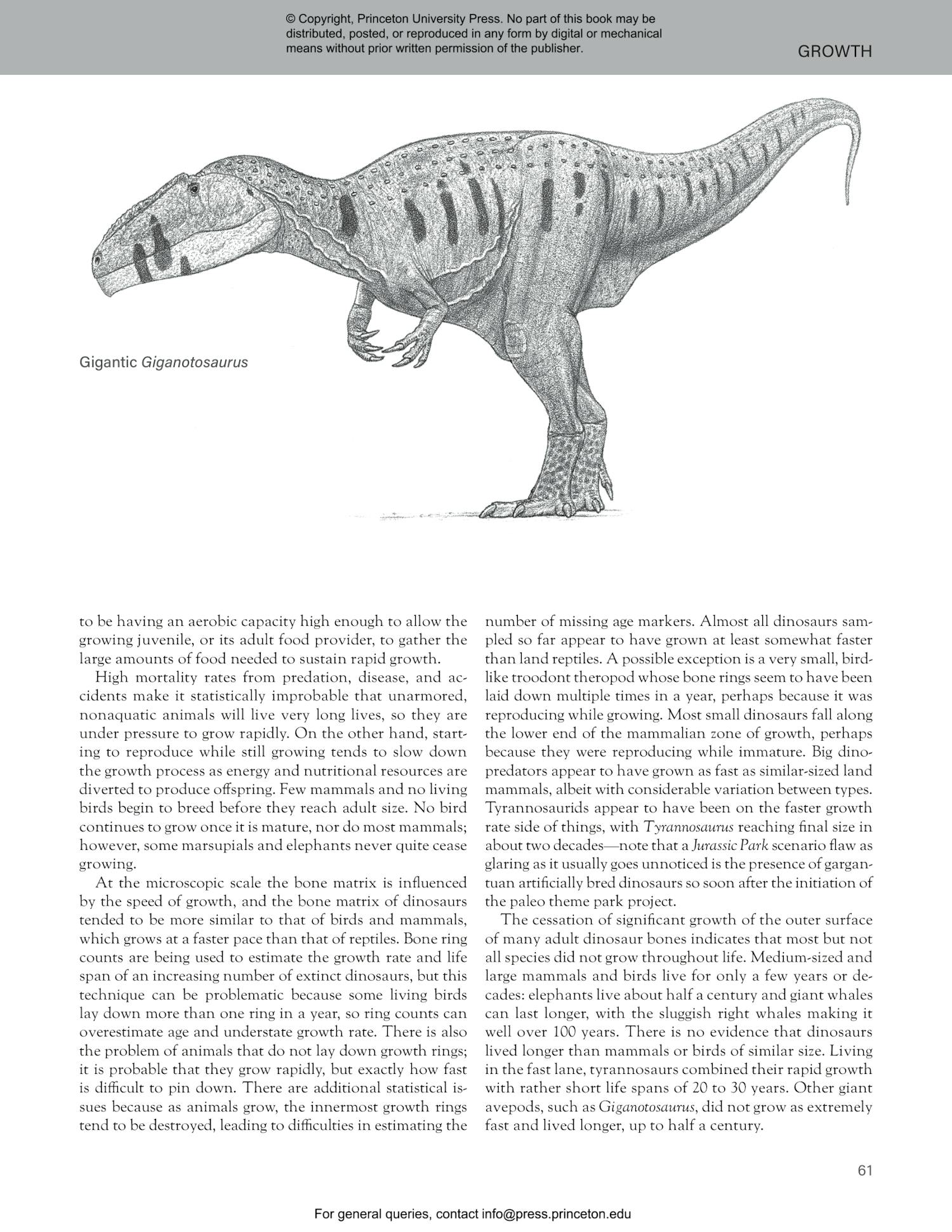 The Princeton Field Guide to Predatory Dinosaurs | Princeton University ...