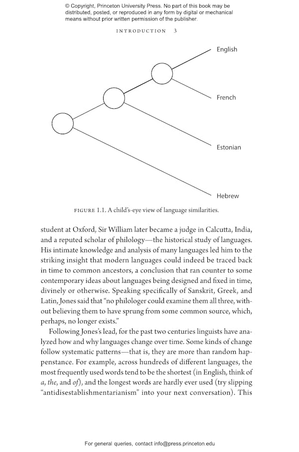 Everything Evolves | Princeton University Press