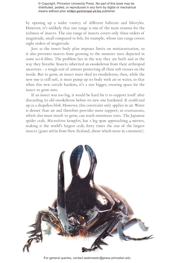 Alien Worlds | Princeton University Press