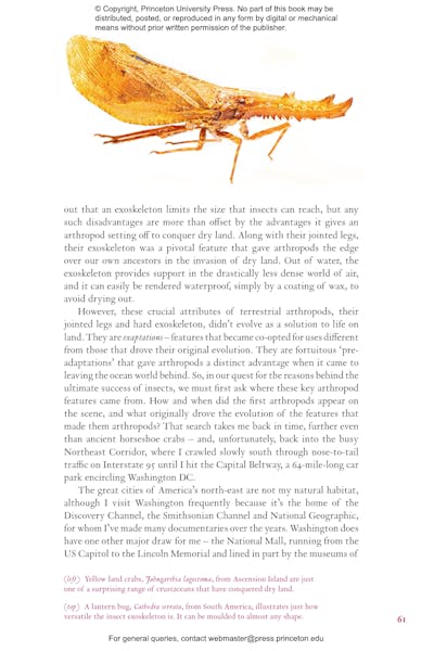 Alien Worlds | Princeton University Press