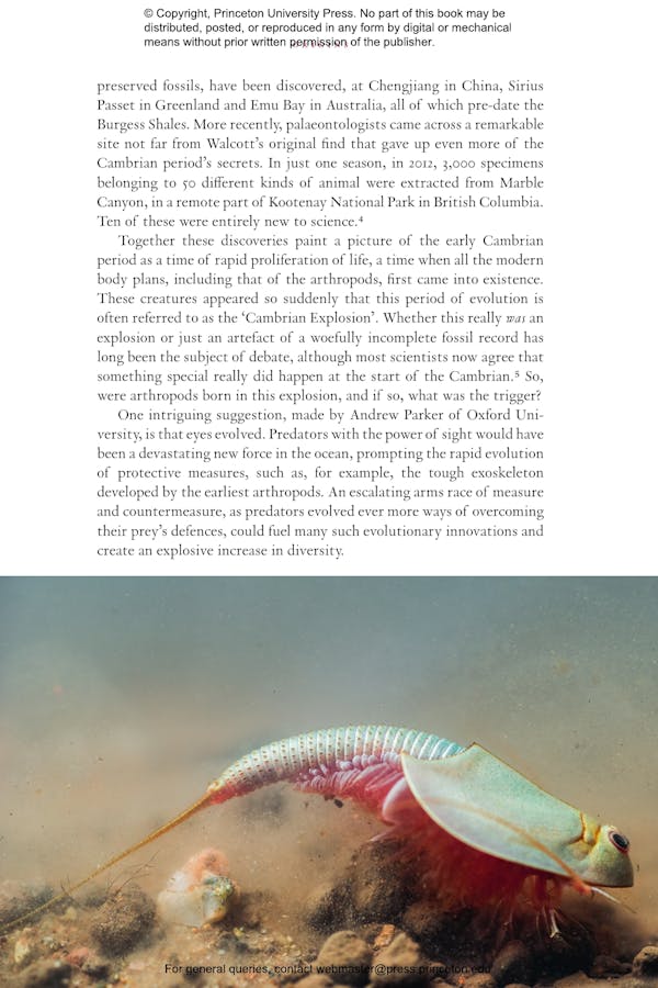 Alien Worlds | Princeton University Press