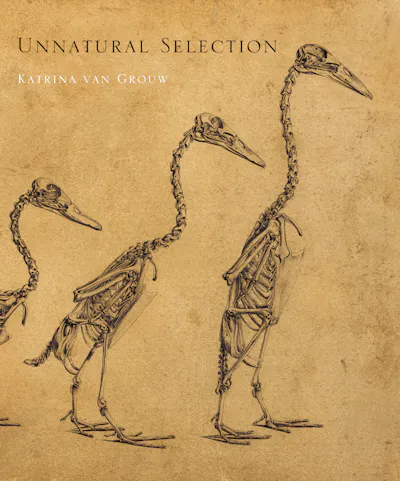 Critical Transitions in Nature and Society | Princeton University Press