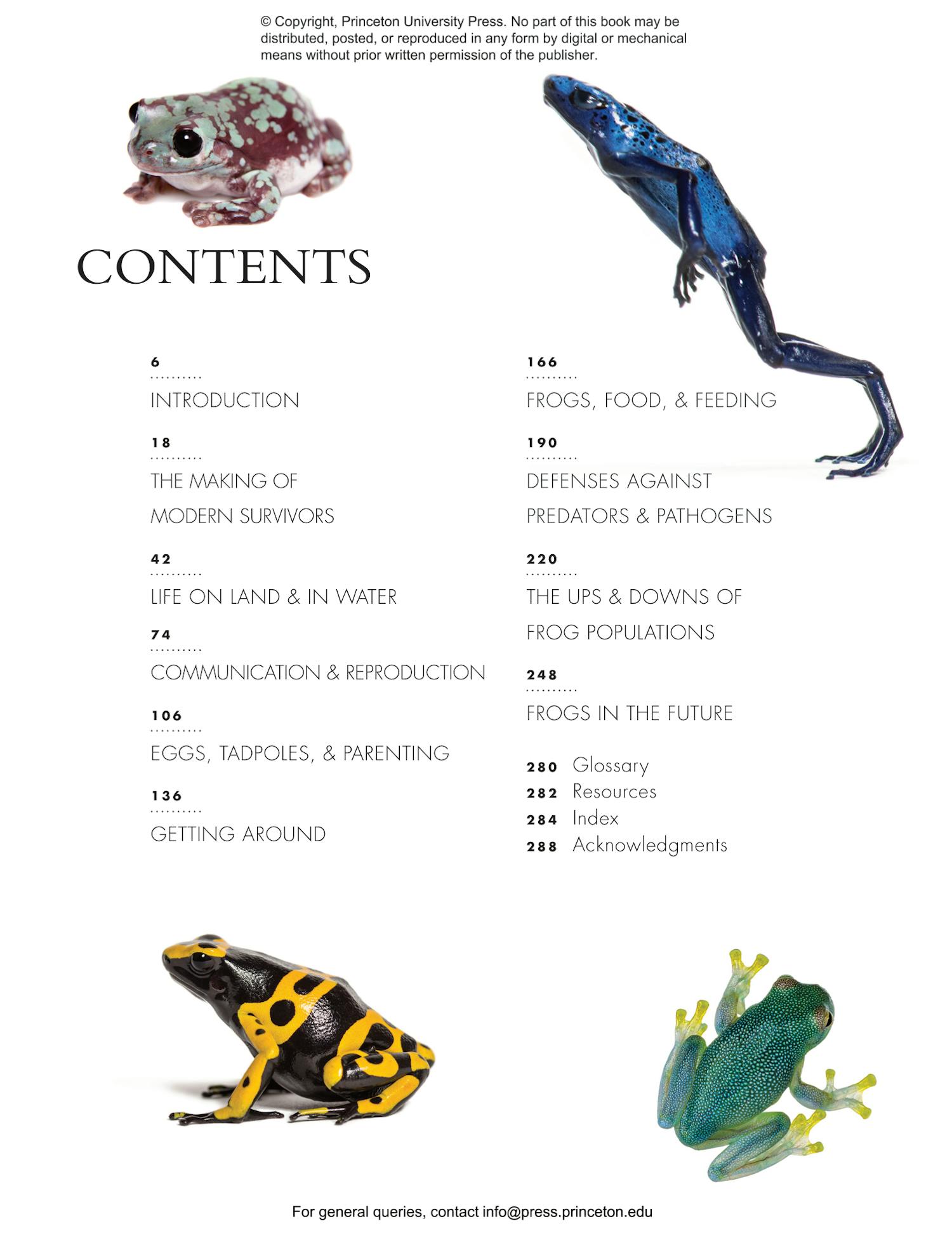 The Lives of Frogs | Princeton University Press