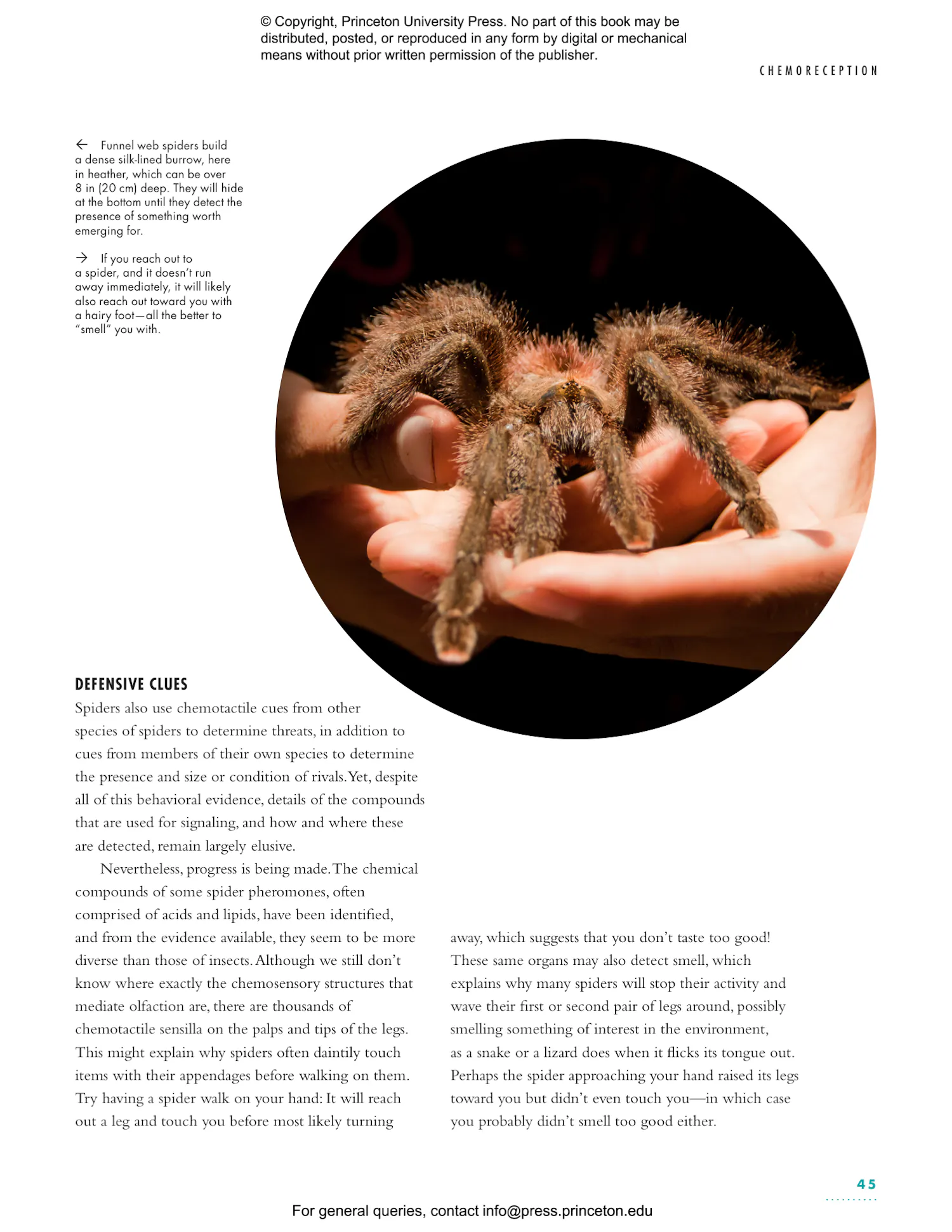 The Lives of Spiders | Princeton University Press