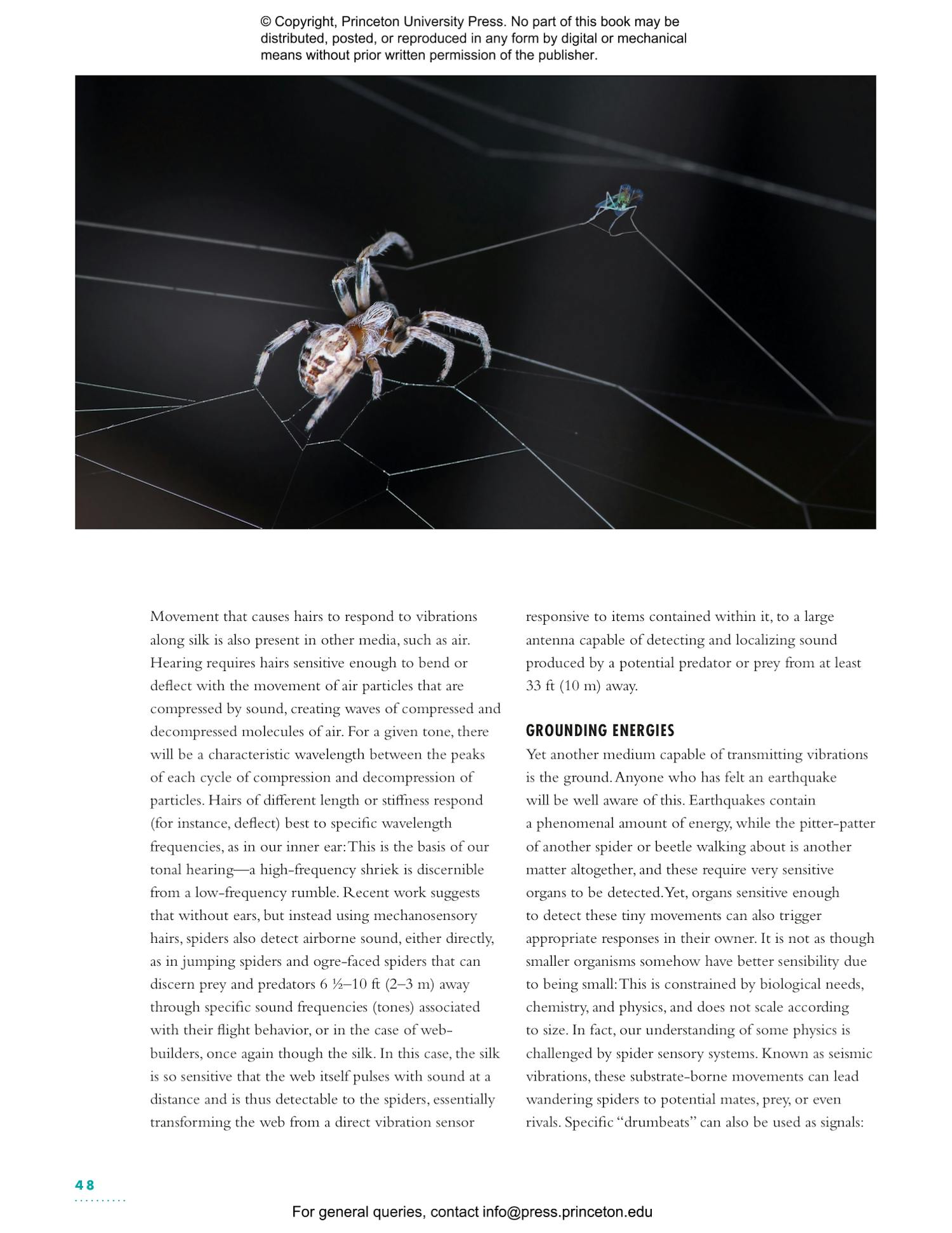 The Lives of Spiders | Princeton University Press