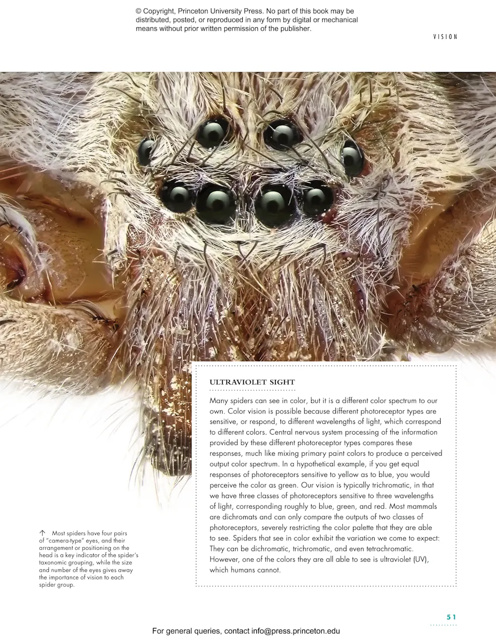 The Lives of Spiders | Princeton University Press