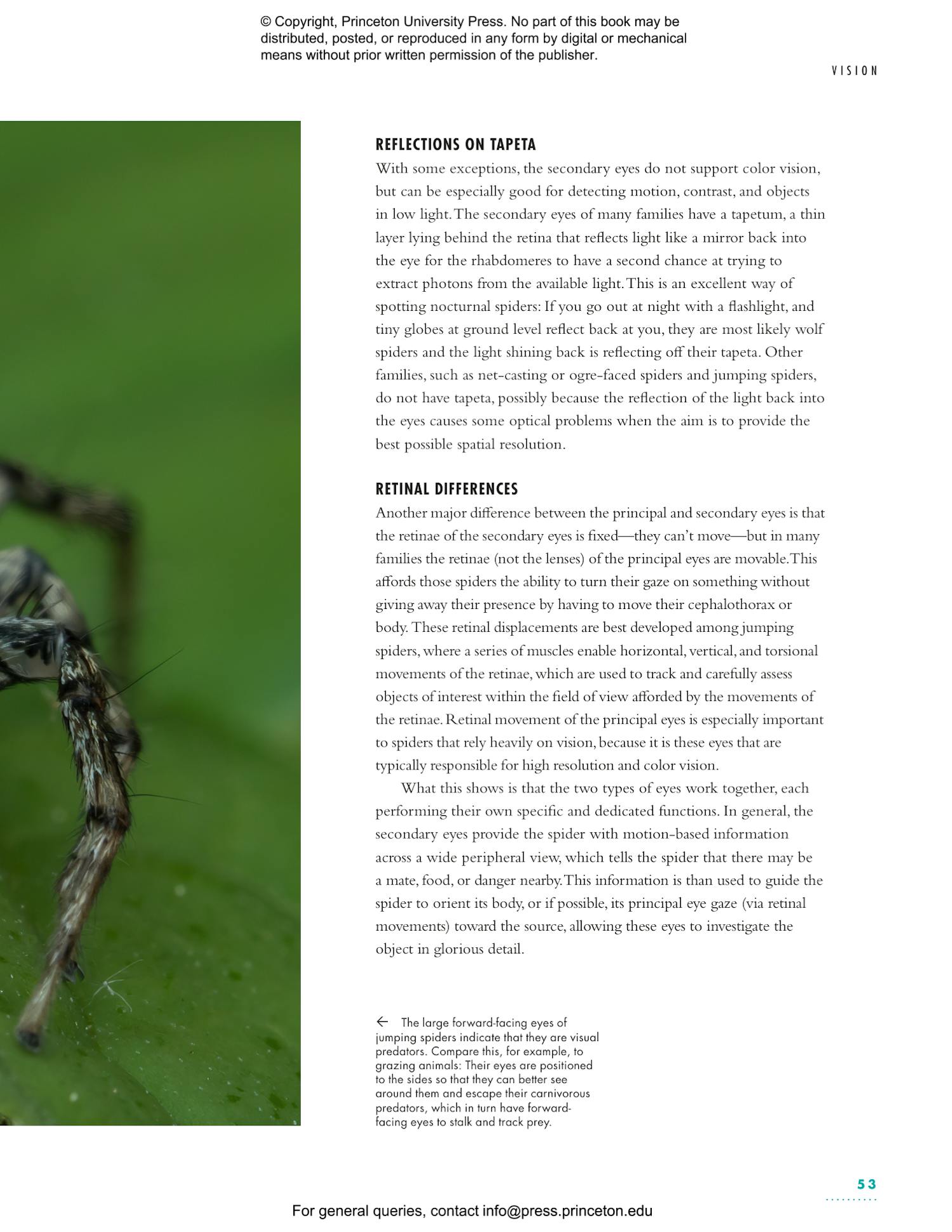 The Lives of Spiders | Princeton University Press
