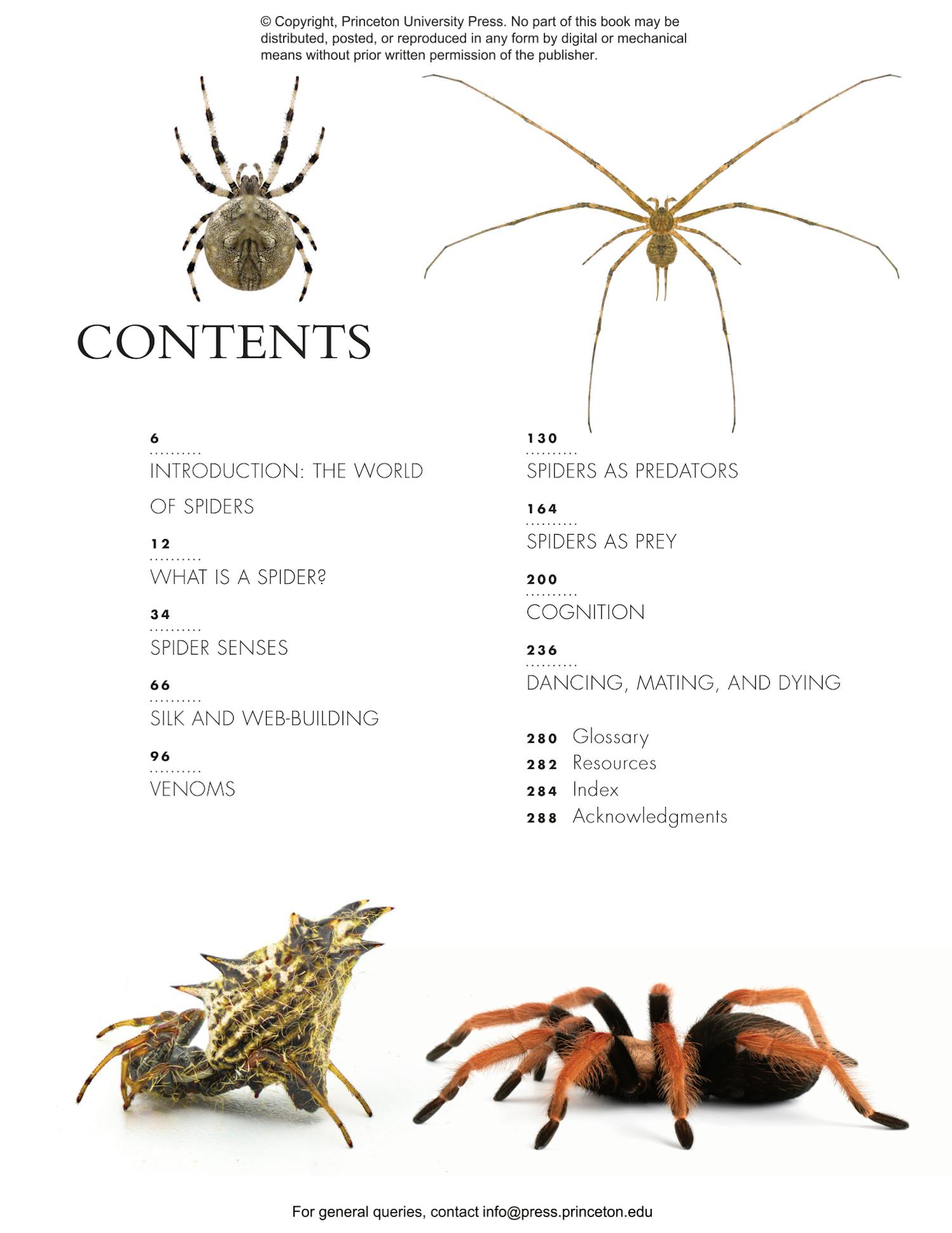 The Lives of Spiders | Princeton University Press