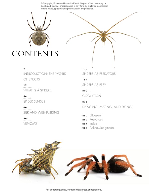 The Lives of Spiders | Princeton University Press