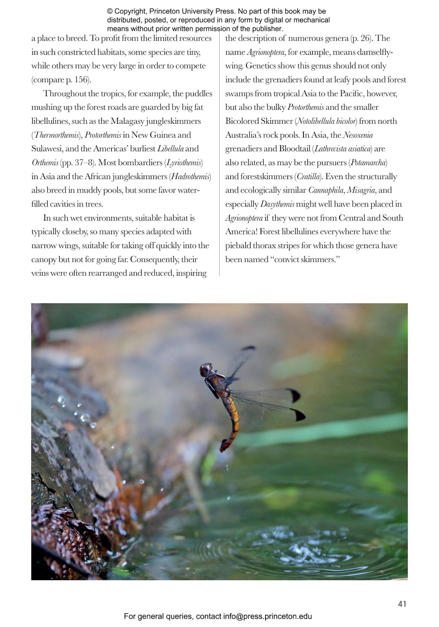 Dragonflies and Damselflies of the World | Princeton University Press