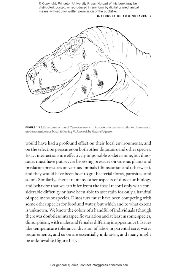 Uncovering Dinosaur Behavior | Princeton University Press