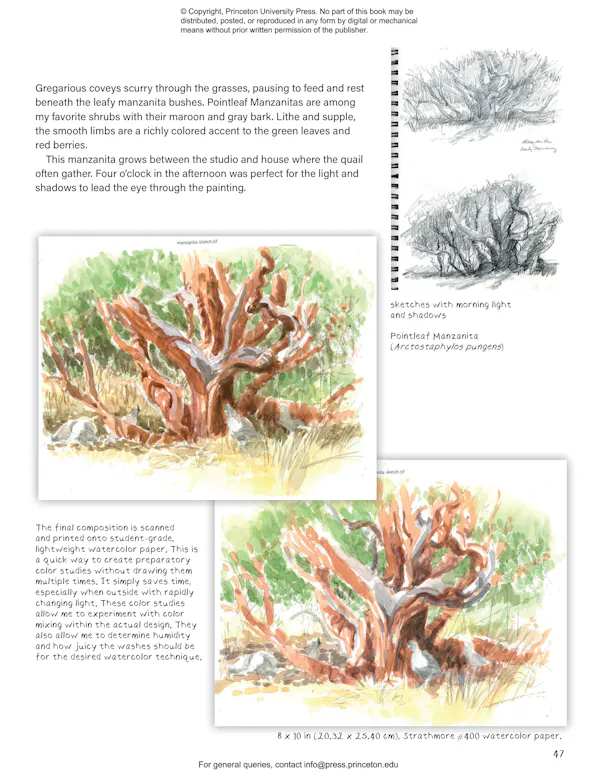 Drawing Nature | Princeton University Press