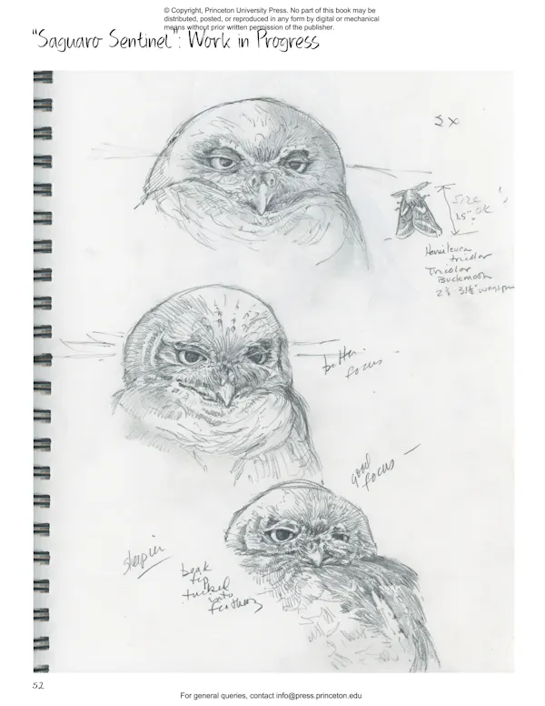 Drawing Nature | Princeton University Press