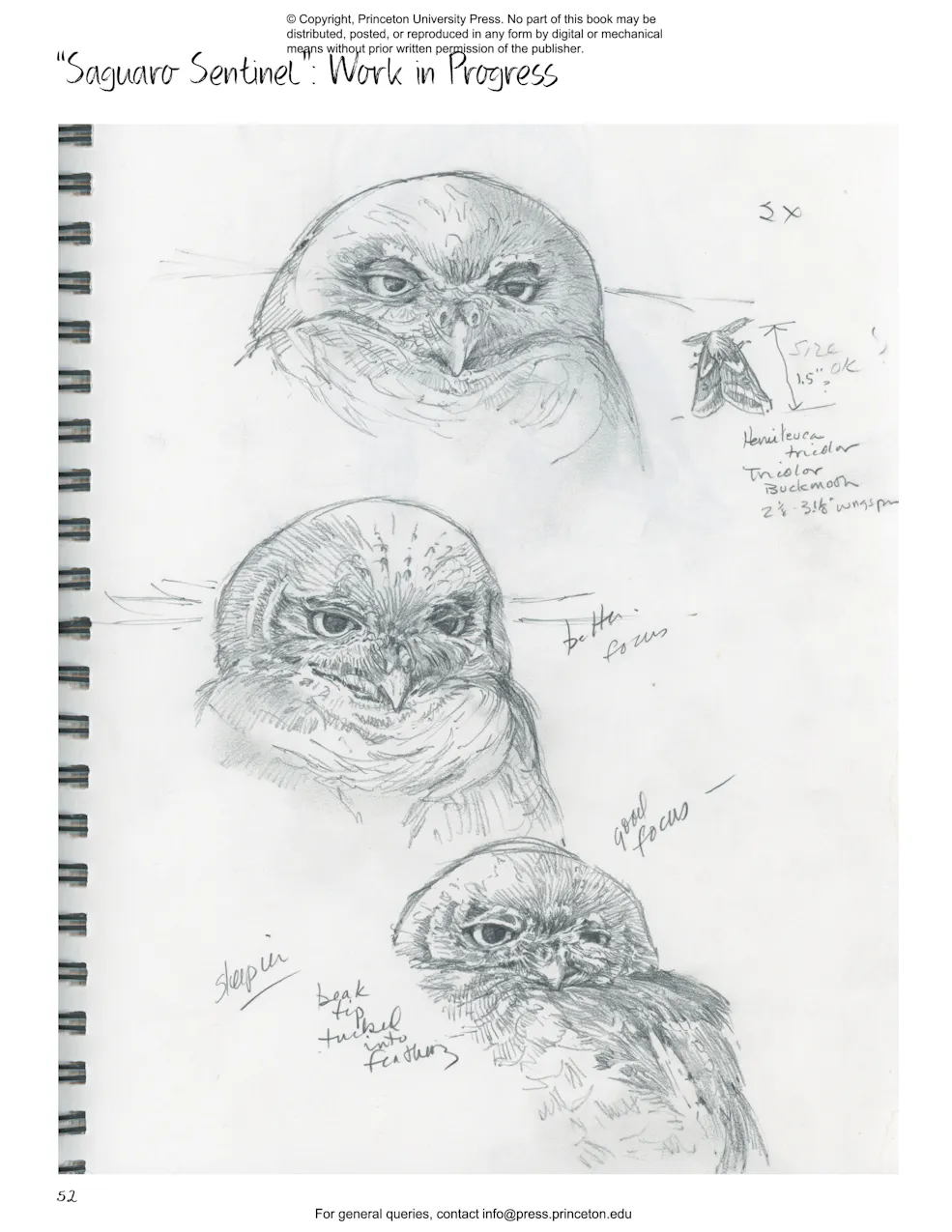 Drawing Nature | Princeton University Press