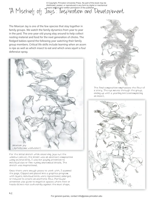 Drawing Nature | Princeton University Press