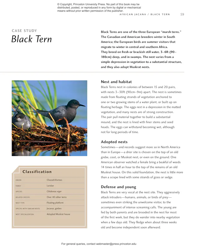 Avian Architecture, Revised and Expanded Edition | Princeton University ...
