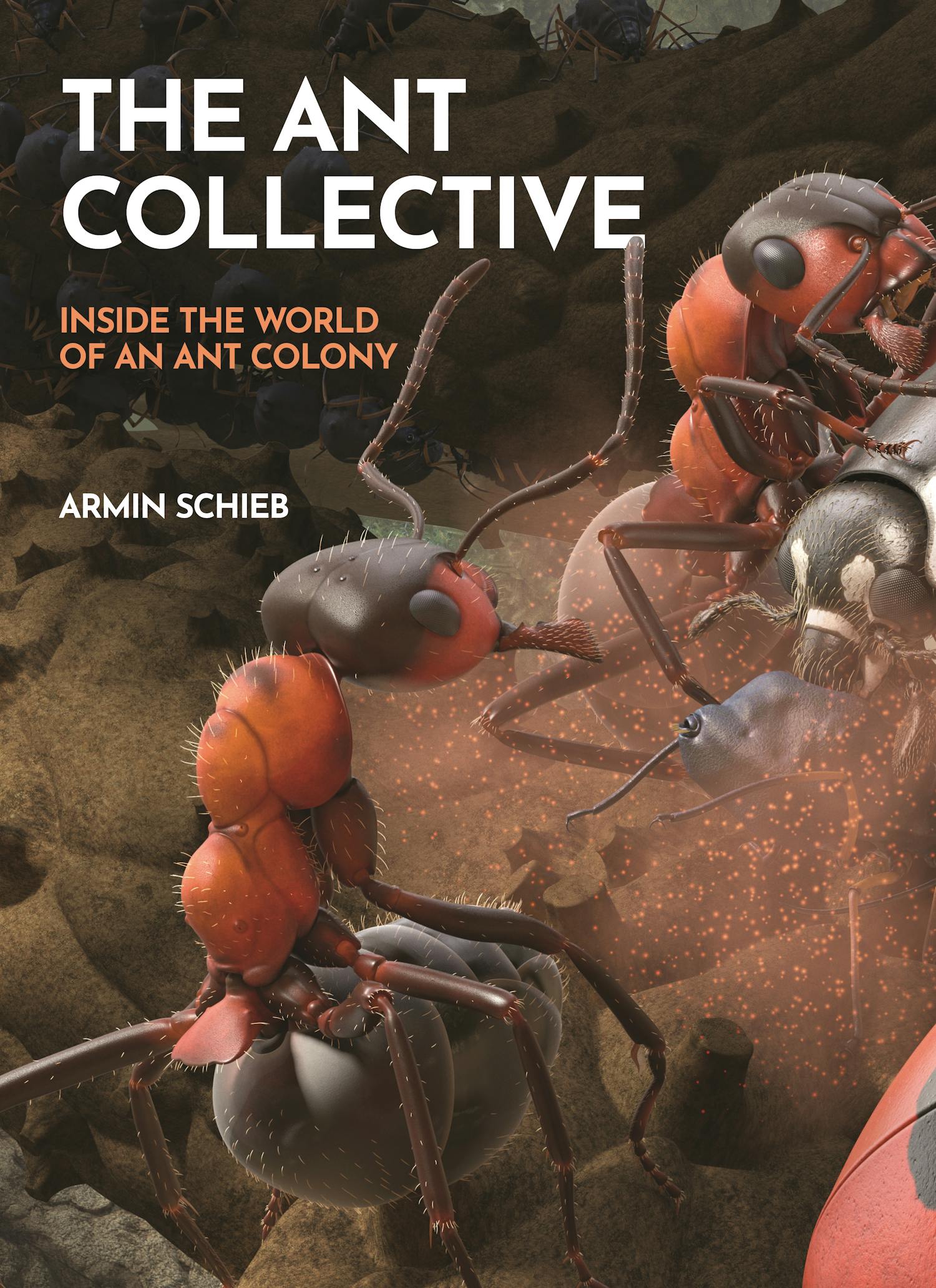 The Ant Collective | Princeton University Press