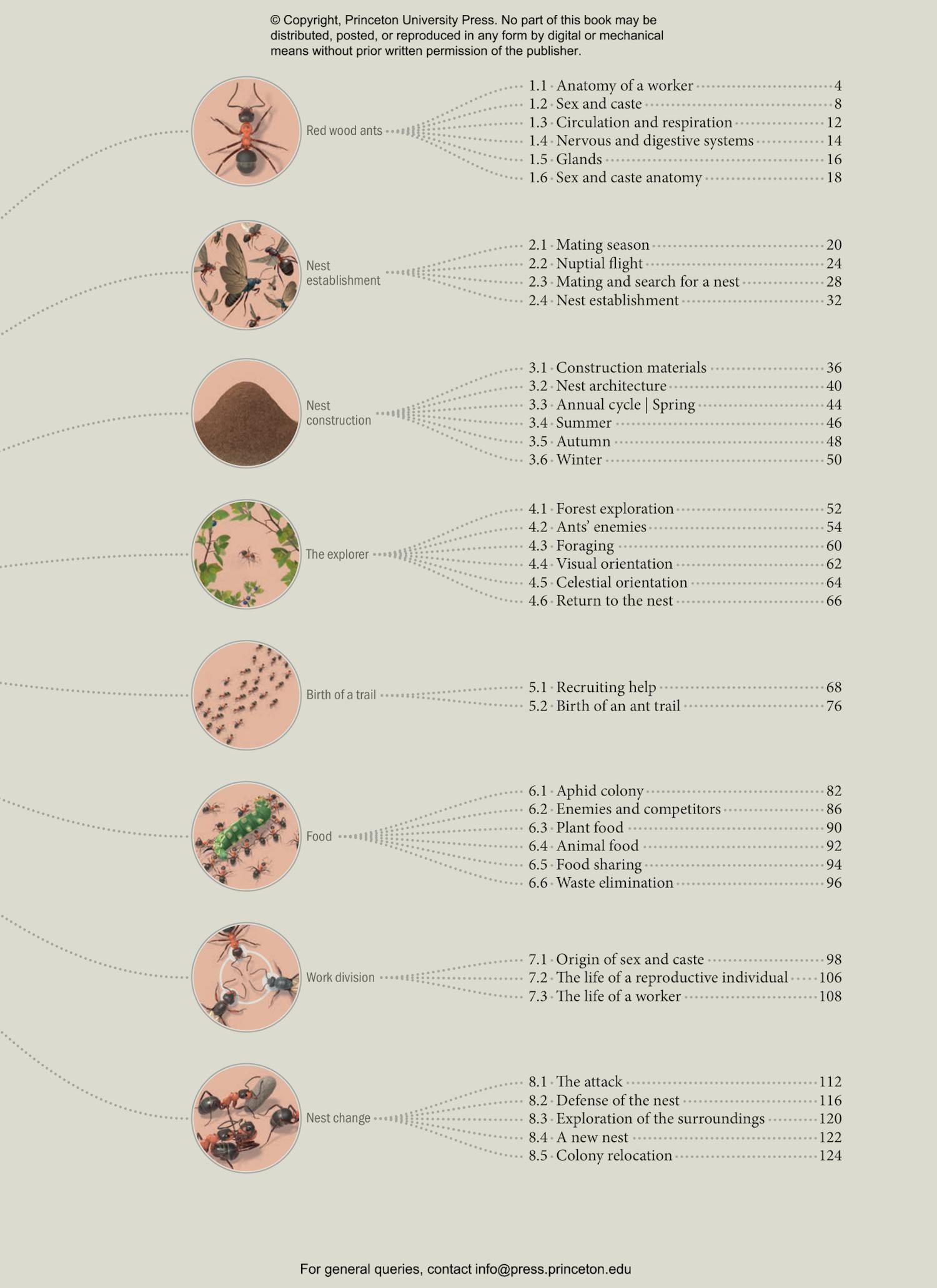 The Ant Collective | Princeton University Press