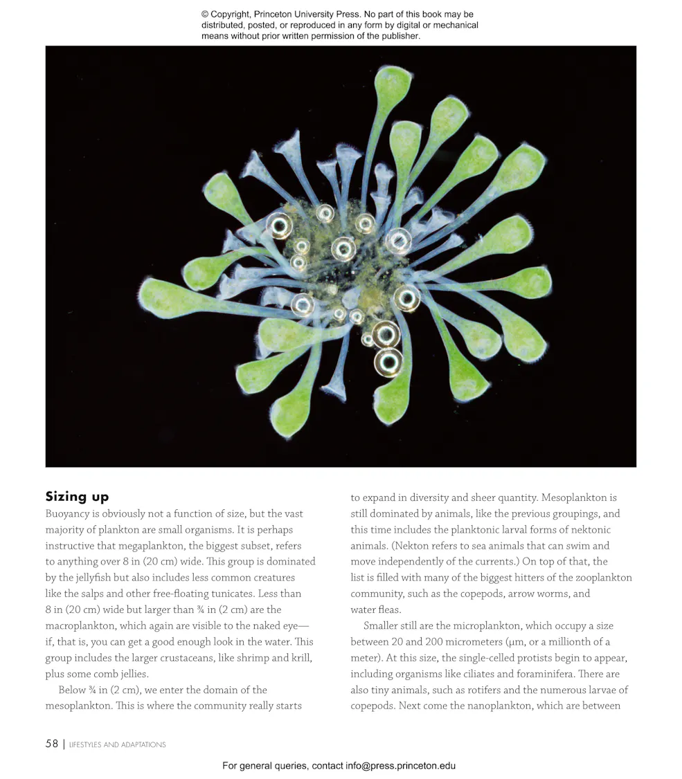 Plankton | Princeton University Press