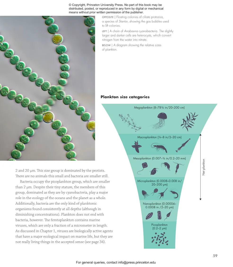 Plankton | Princeton University Press