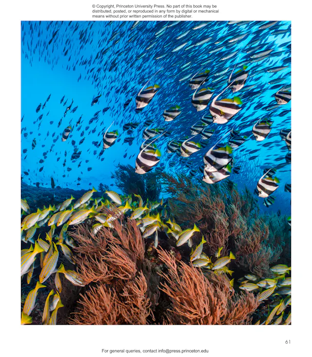 Plankton | Princeton University Press